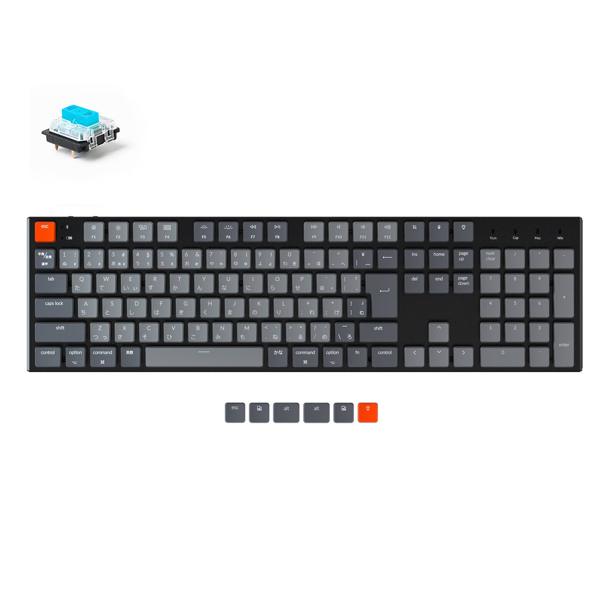Keychron ISO/JIS Mechanical Keyboard Collection – Keychron Canada