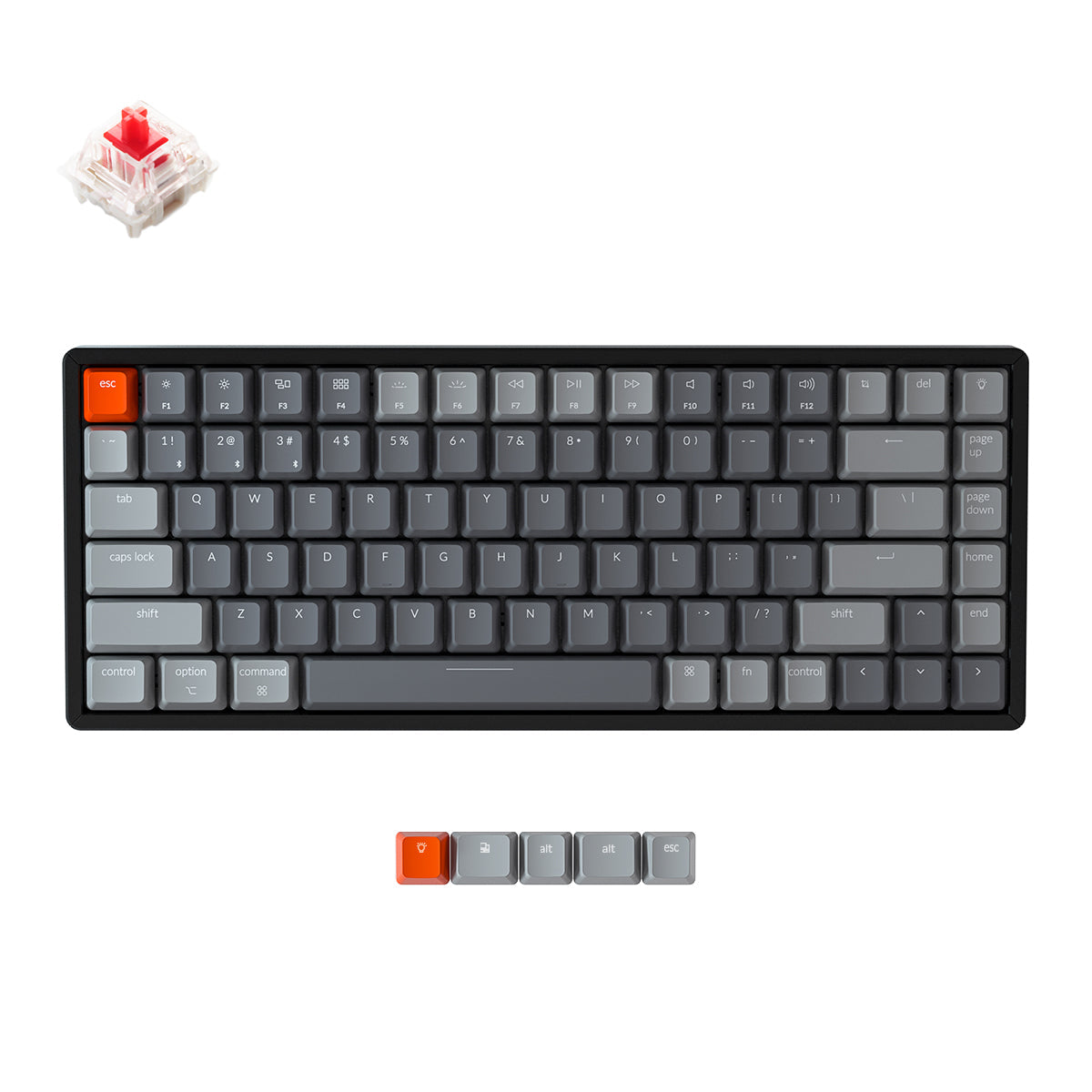 Normal Profile Keyboards – Keychron Canada